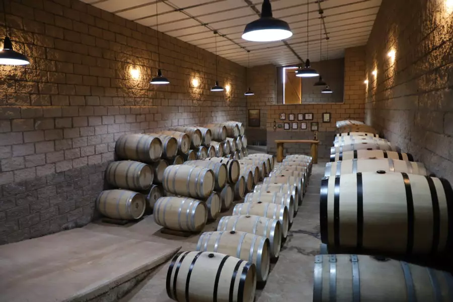13 viinamarjaistandust Guanajuatos, mida peaksite teadma 40532_7