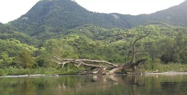 Mindenszentek Atlajcóban, Hidalgo fifuban