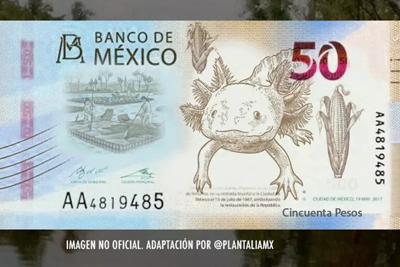 Modelet e reja të kartëmonedhave 20 dhe 50 pesos meksikane do të fillojnë të qarkullojnë 41012_3