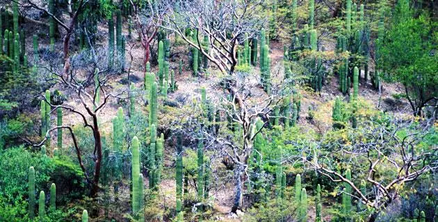 การท่องเที่ยวเชิงนิเวศทางสังคมใน Sierra de Huautla fifu