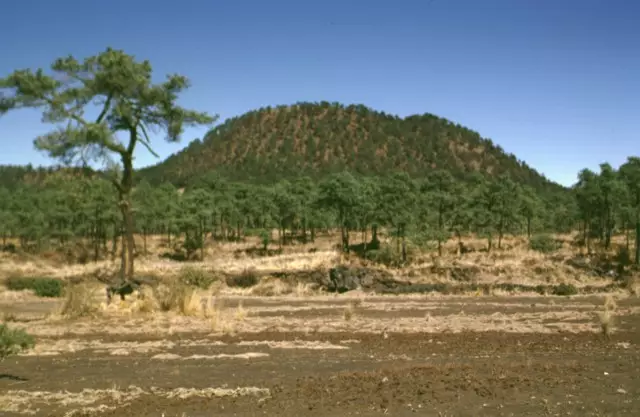 Çima Barranca del Muerto wisa tê gotin? Li ser dîroka wê ya tirsnak fêr bibin 41550_2