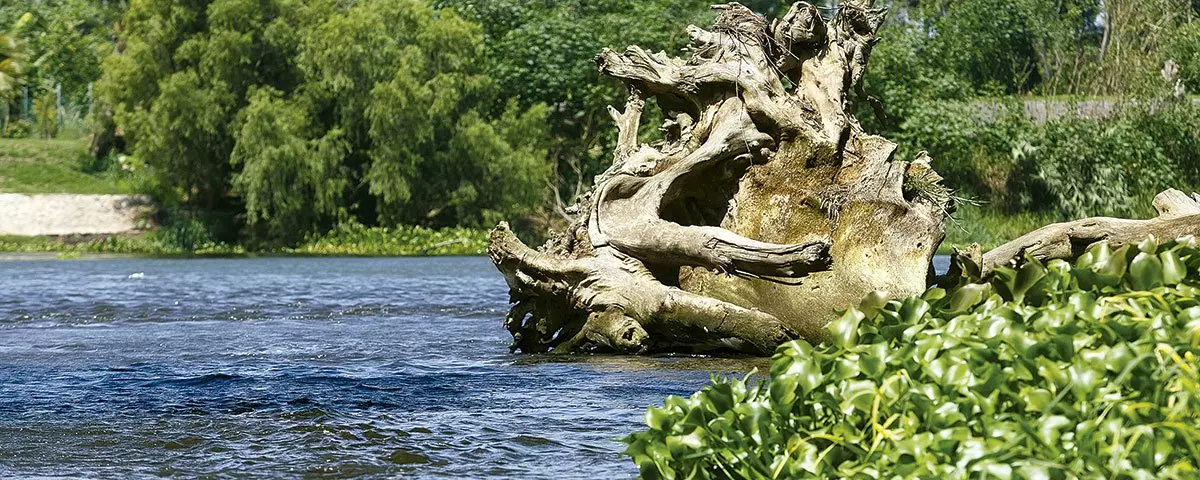 Sa pagsasalita tungkol sa mga ilog, gaano ang alam mo tungkol sa mga nasa Mexico? fifu