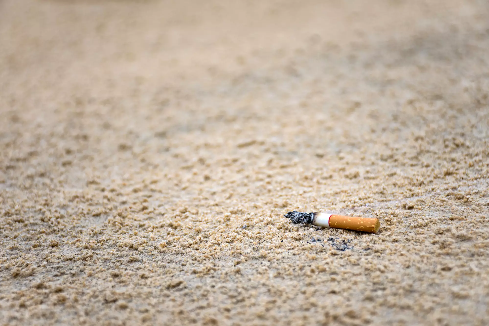 O tiro de cigarro na area por parte dun humano na praia é a causa