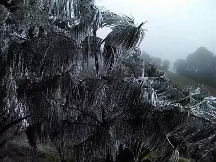 La première neige tombe à Pinal de Amoles 42051_3