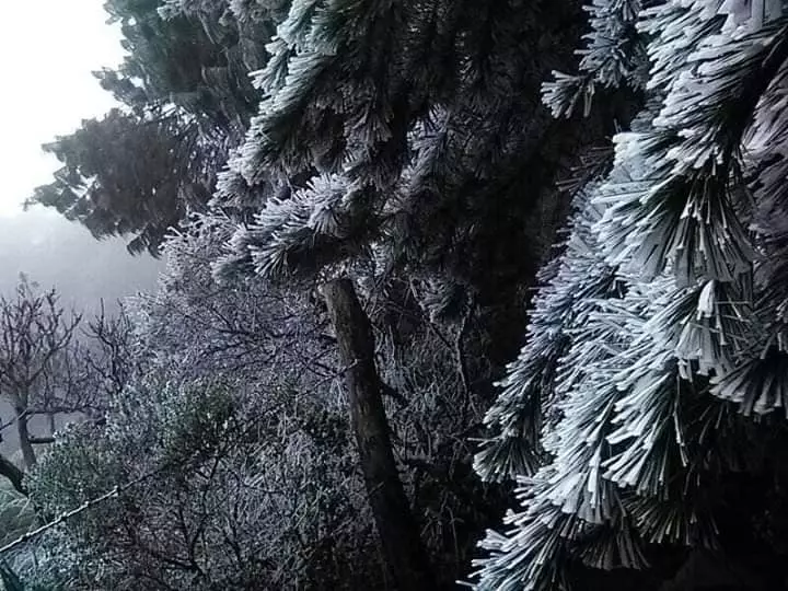 La première neige tombe à Pinal de Amoles 42051_4