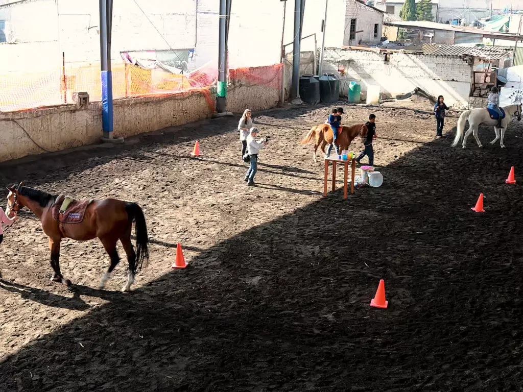 Rehabilitación con caballos en CDMX 42157_3