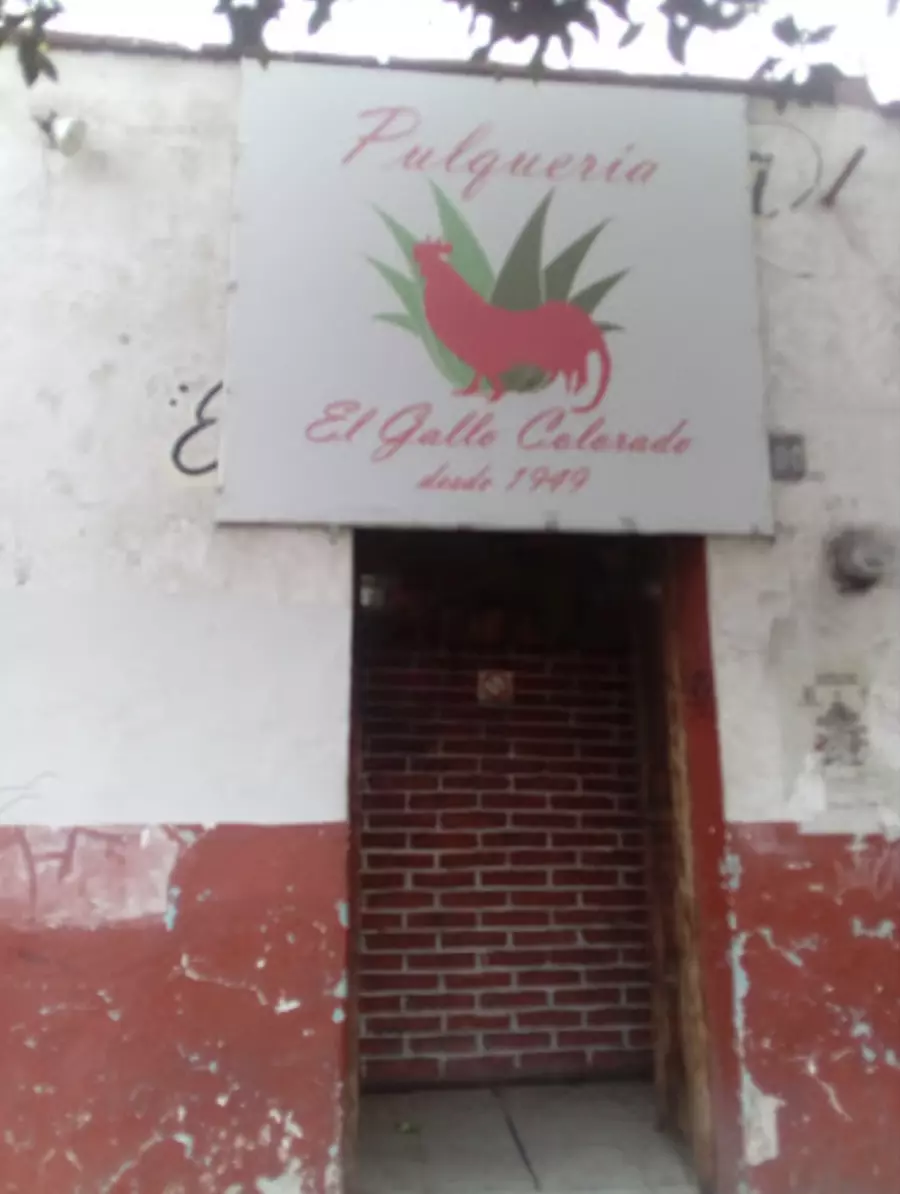 Էլ Գալլո Կոլորադո, երկար ավանդույթ ունեցող pulqueria 42261_2