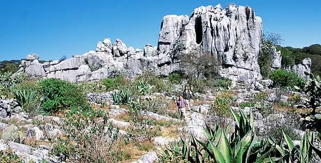 Safari nan Altiplano Potosí ak dezè majik fifu li yo