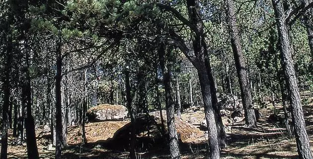 旅行者のヒント La Michilía Biosphere Reserve (Durango) fifu