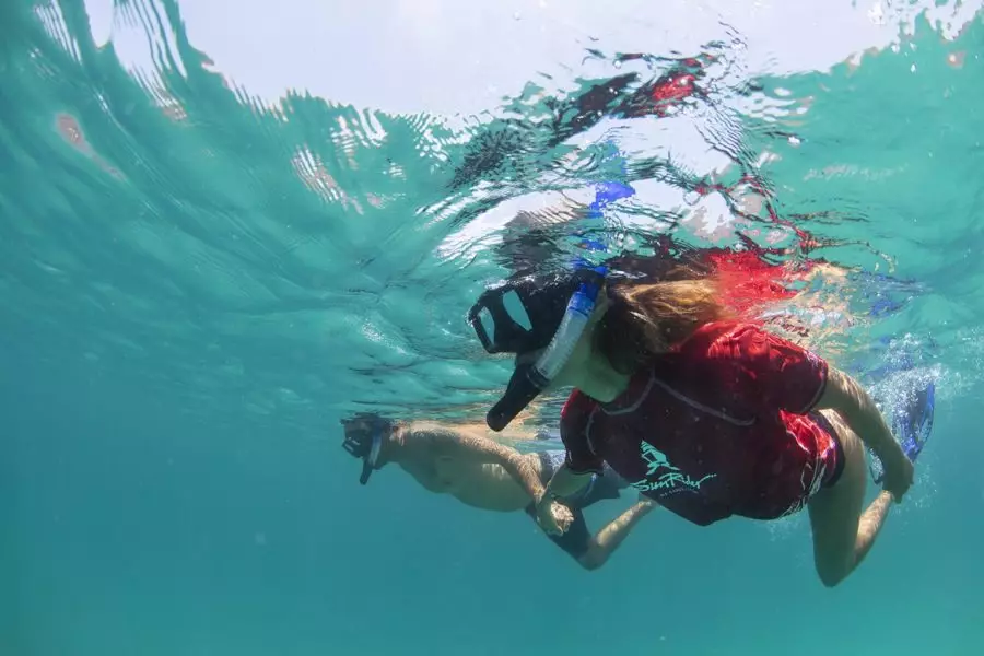 (FOTKY) Podmorský svet ostrovov Kalifornského zálivu vo filme Sunrider's Adventure 4749_5
