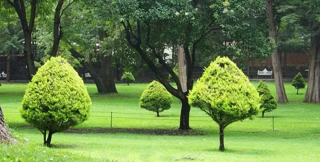 পেনা পোব্রে ফিফু এর ইকোলজিক্যাল পার্ক