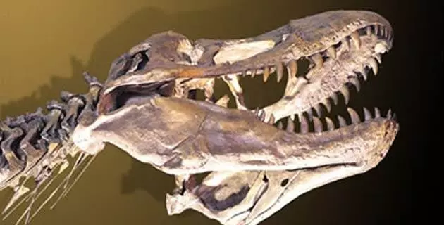 мексикалык динозаврлар