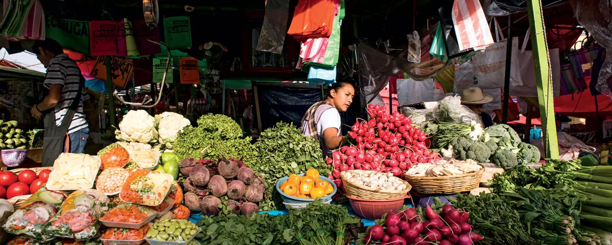 Chợ Xochimilco: đắm mình trong vũ trụ truyền thống này trong CDMX fifu