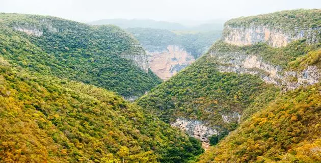 El Tapesco del Diablo, pasakojimas apie atradimą (Chiapas) fifu