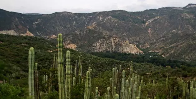 Canyon ຂອງ Metztitlán (Hidalgo) fifu