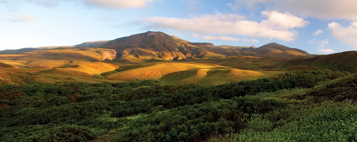 Isla Socorro: Биҳишт барои паррандагон ва ҳайвоноти ваҳшӣ дар Revillagigedo fifu