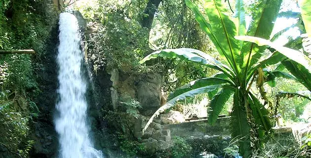 De banaan mei de bonke yn 'e Barranca del Cupatitzio (Michoacán) fifu