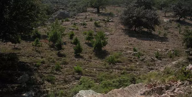 O Santuario de Mapethé (Hidalgo) fifu