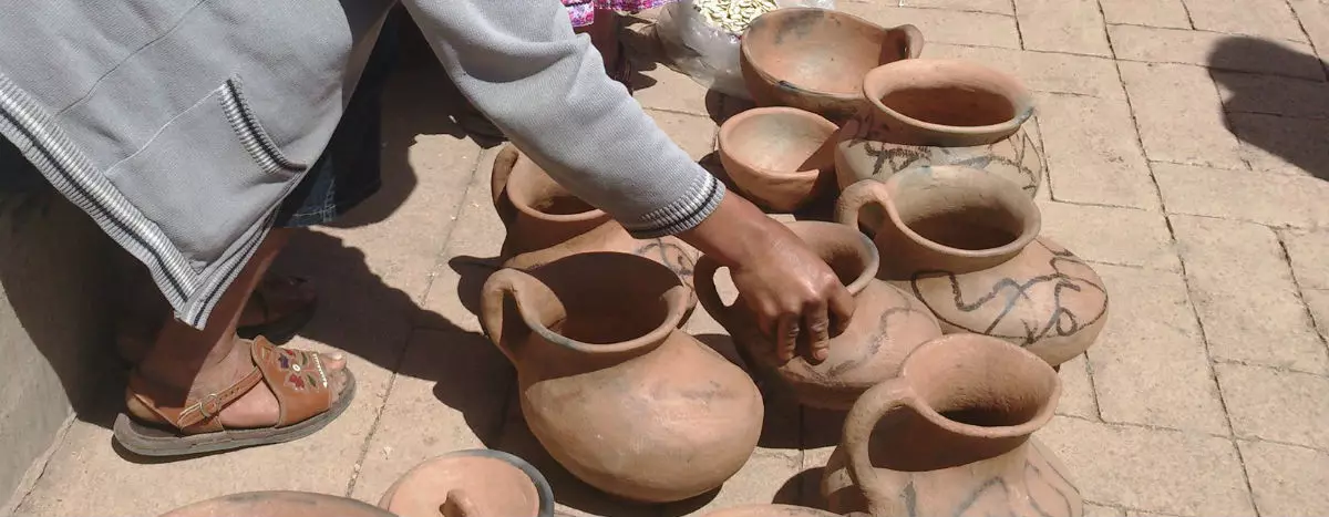 Viatge a un mercat tradicional oaxaqueño fifu