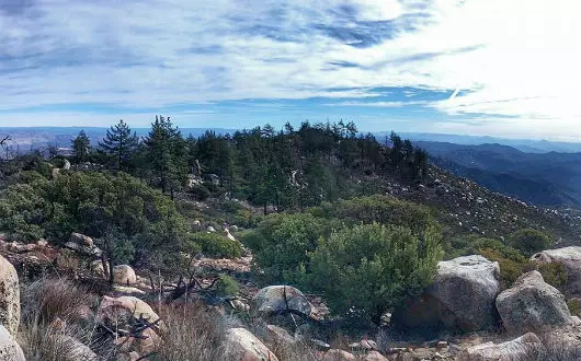 एरुविएल फिगेरोआ