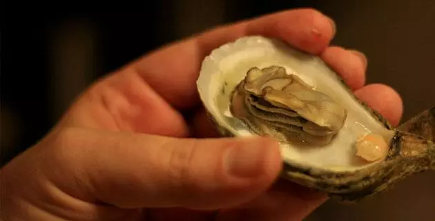 Oyster farming in Boca de Camichín, Nayarit fifu