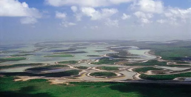 Poznavanje Lagune Madre. Še en kotiček Tamaulipas fifu