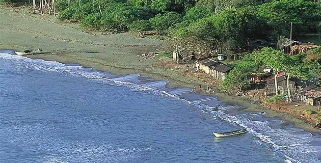 Petua pengembara Playa Escondida (Veracruz) fifu