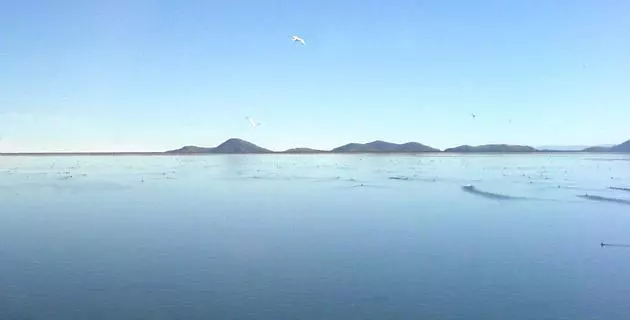 Laguna Santa Cruz de Mitla, Guerrero fifu