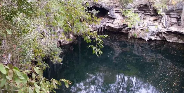 Libre Unión: faritra misy cenotes, fomban-drazana ary tantara (Yucatán) fifu