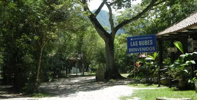 Εξερευνήστε το Las Nubes, τον πνεύμονα της Chiapas και την ήπειρο fifu