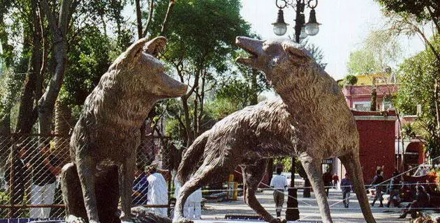 Coyoacán, મારા પ્રેમનો પડોશી, ફેડરલ ડિસ્ટ્રિક્ટ