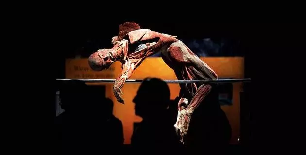 Body Worlds & Turas tríd an gcroí, i gCathair Mheicsiceo fifu