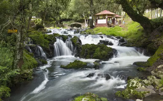 ಮಾರ್ಕ್ ಫೆರೋ