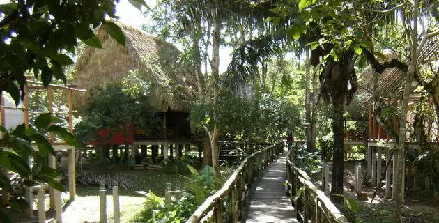 گهوڙي ڳولهي رهيو آهي. Ecotourism سينٽر لاس Guacamayas fifu