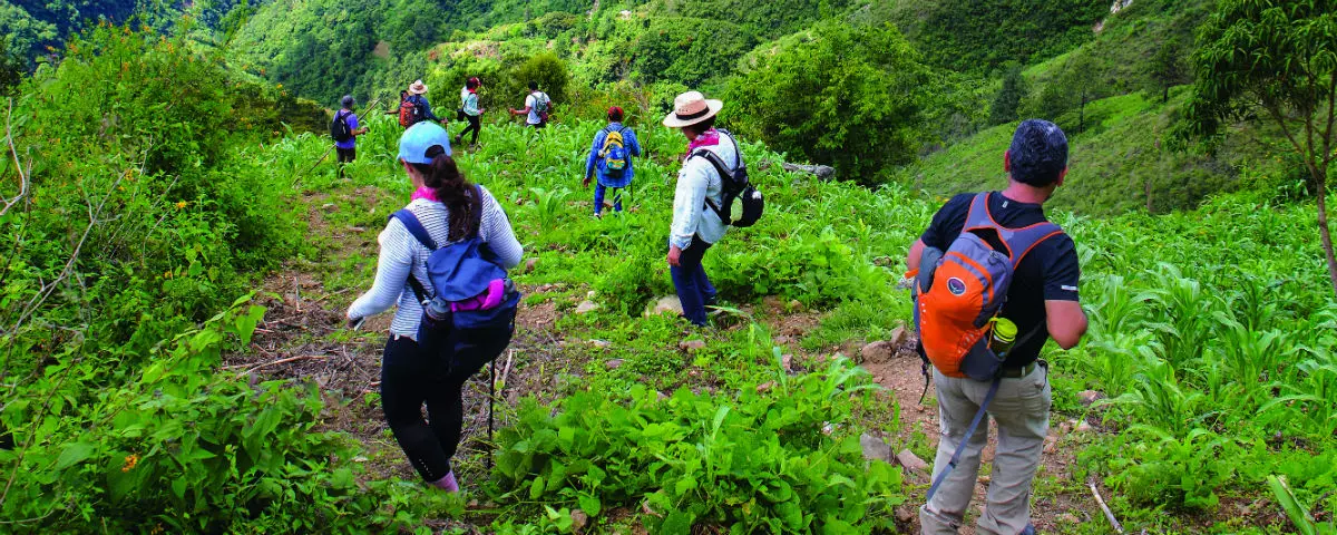 Hari 3: Camino Copalita, pencipta laluan ajaib fifu