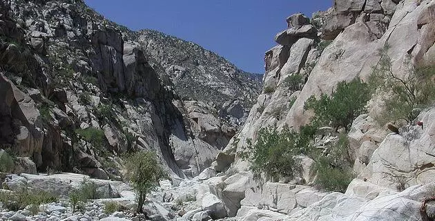 Devil's Canyon, Tamaulipas. Gluggi inn í forsöguna