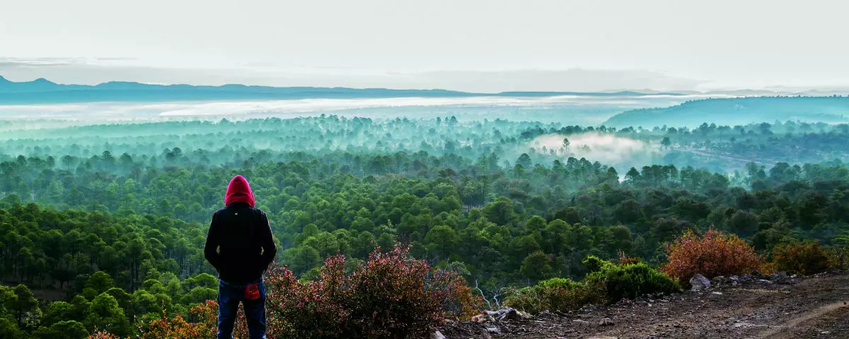 Maajabu ya njia kupitia Sierra huko Durango fifu