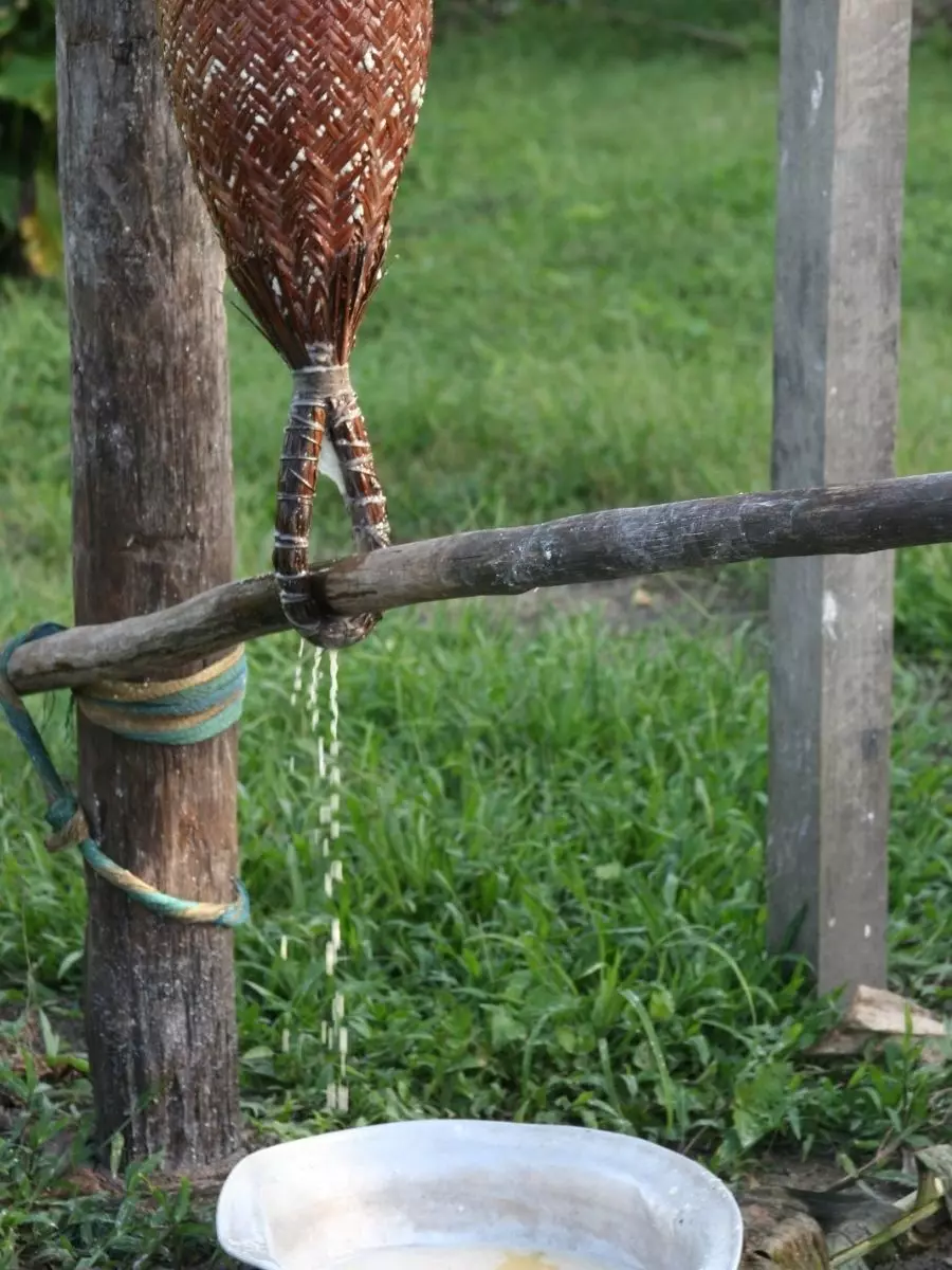 Sabucán la, sak pafè Yucatecan pou ranplase plastik 7923_4