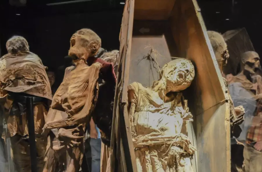 Museo delle nuove mummie