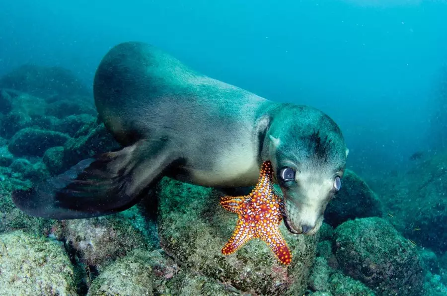 46 strandoj por ĝui en Baja California Sur 8036_5