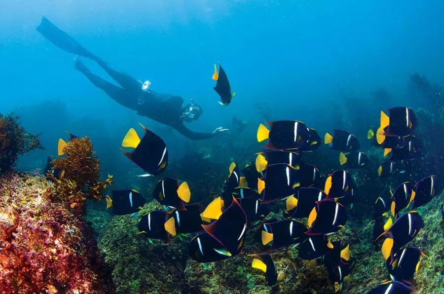 46 strandoj por ĝui en Baja California Sur 8036_6