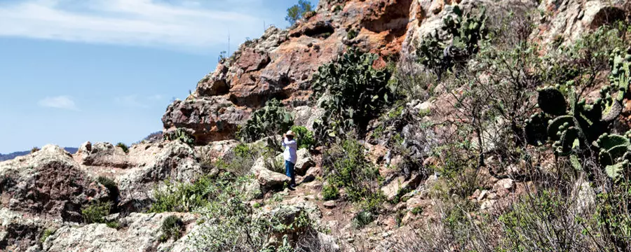 10 oryginalnych sposobów na poznanie Guanajuato 8060_3