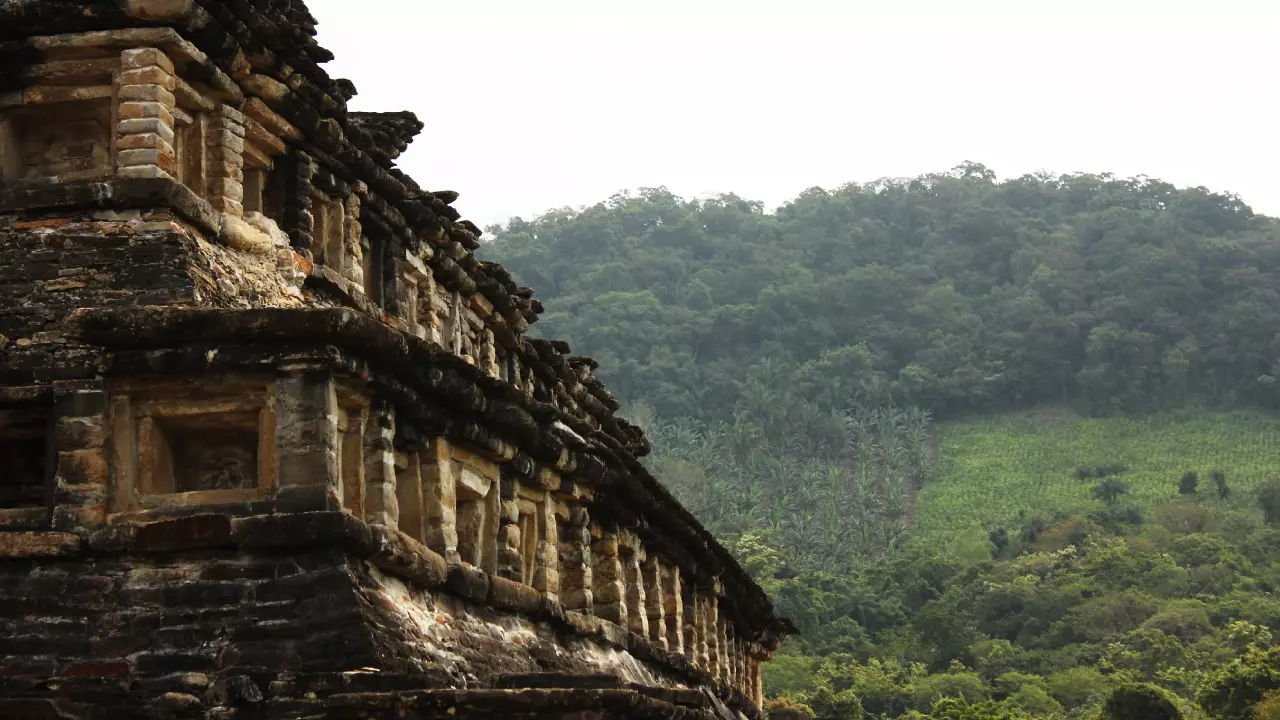 Tajin_veracruz