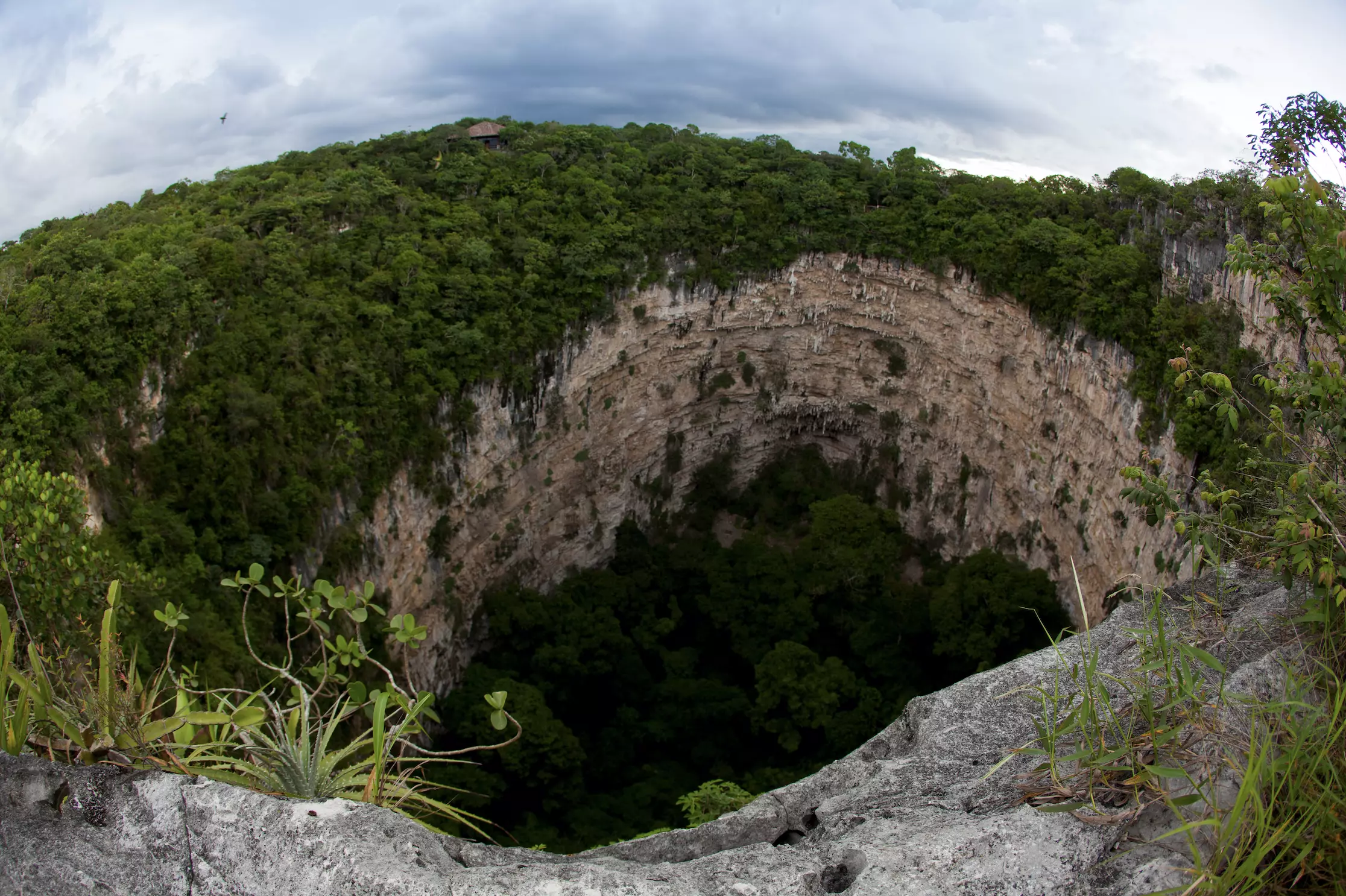 sarguzashtli tajribalar