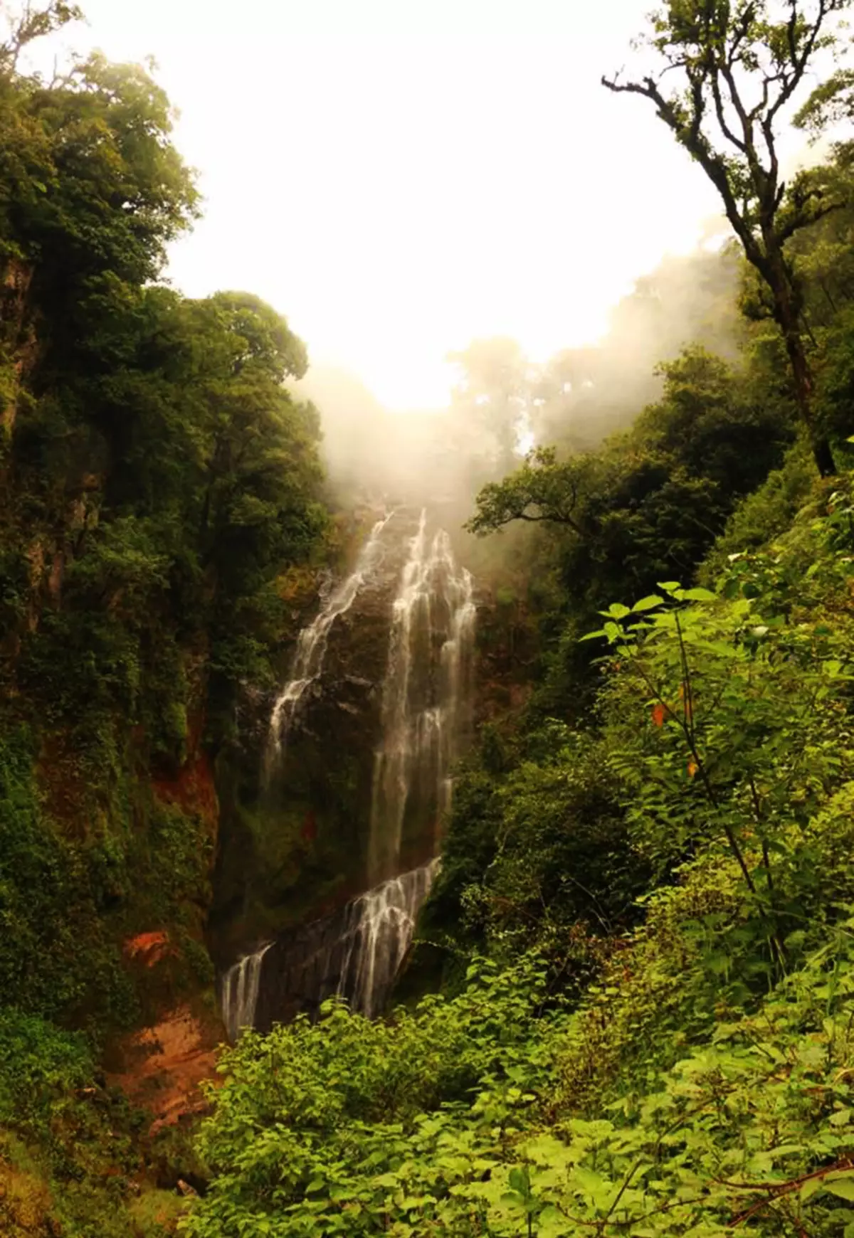 ಹನಿ, ಪ್ಯೂಬ್ಲಾ