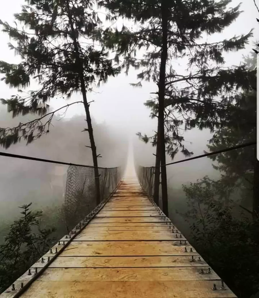 Suspension bridge sa Honey, Puebla