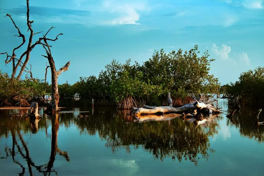 Sisal, uma cidade paradisíaca em Yucatán 8515_7