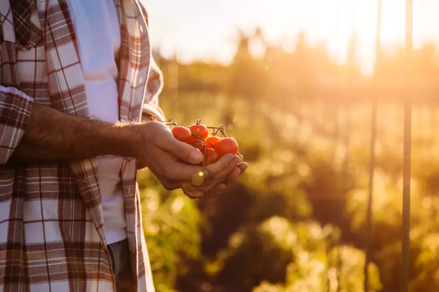 Живіть у Пушкінському саду та навчайтеся разом з Urban Garden Market 8586_2