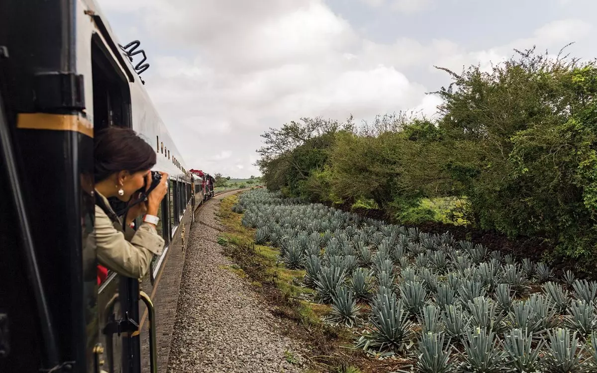 Tequila, Jalisco, Warisan Kemanusiaan Dunia 8682_6