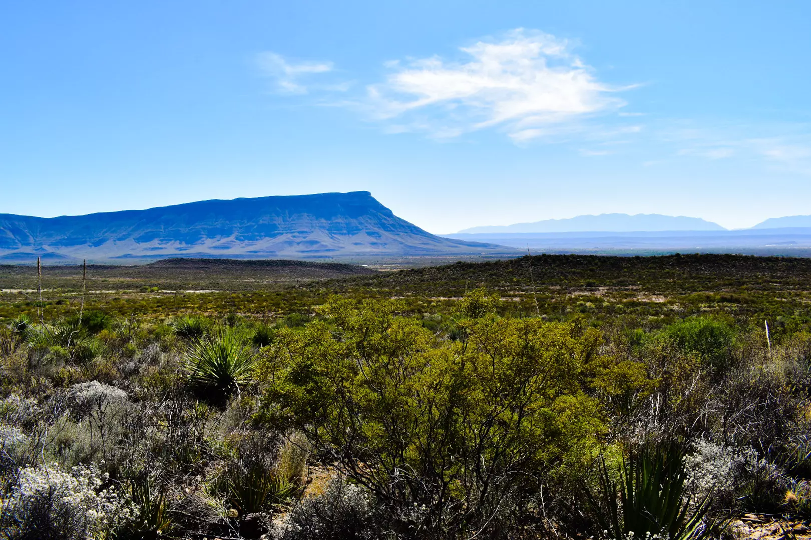 coahuila-de-zaragoza